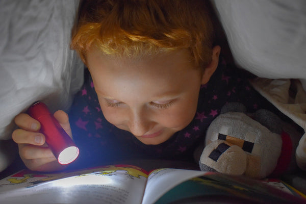 Summer Reading for Kids Who Love Rock Climbing – Everlast Climbing